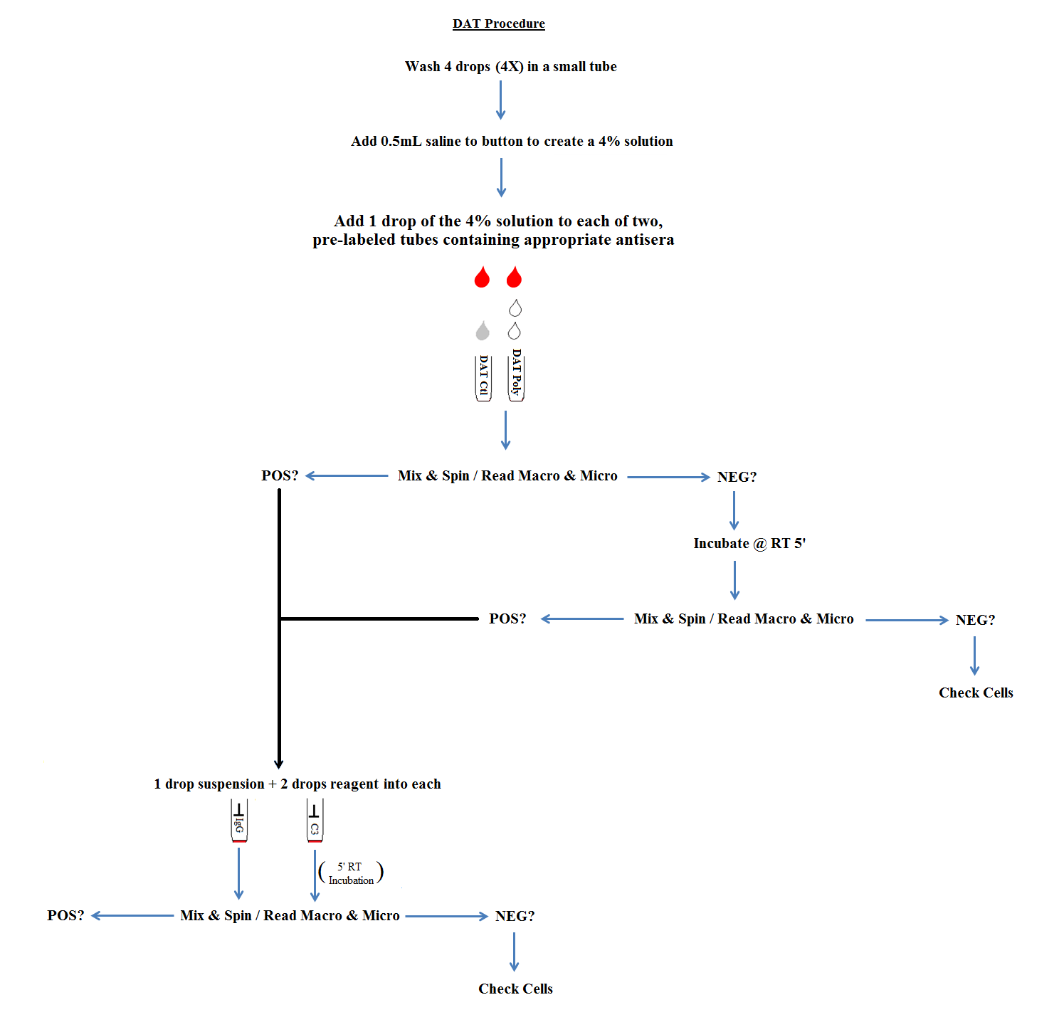 Blood Bank Procedures | wordsology
