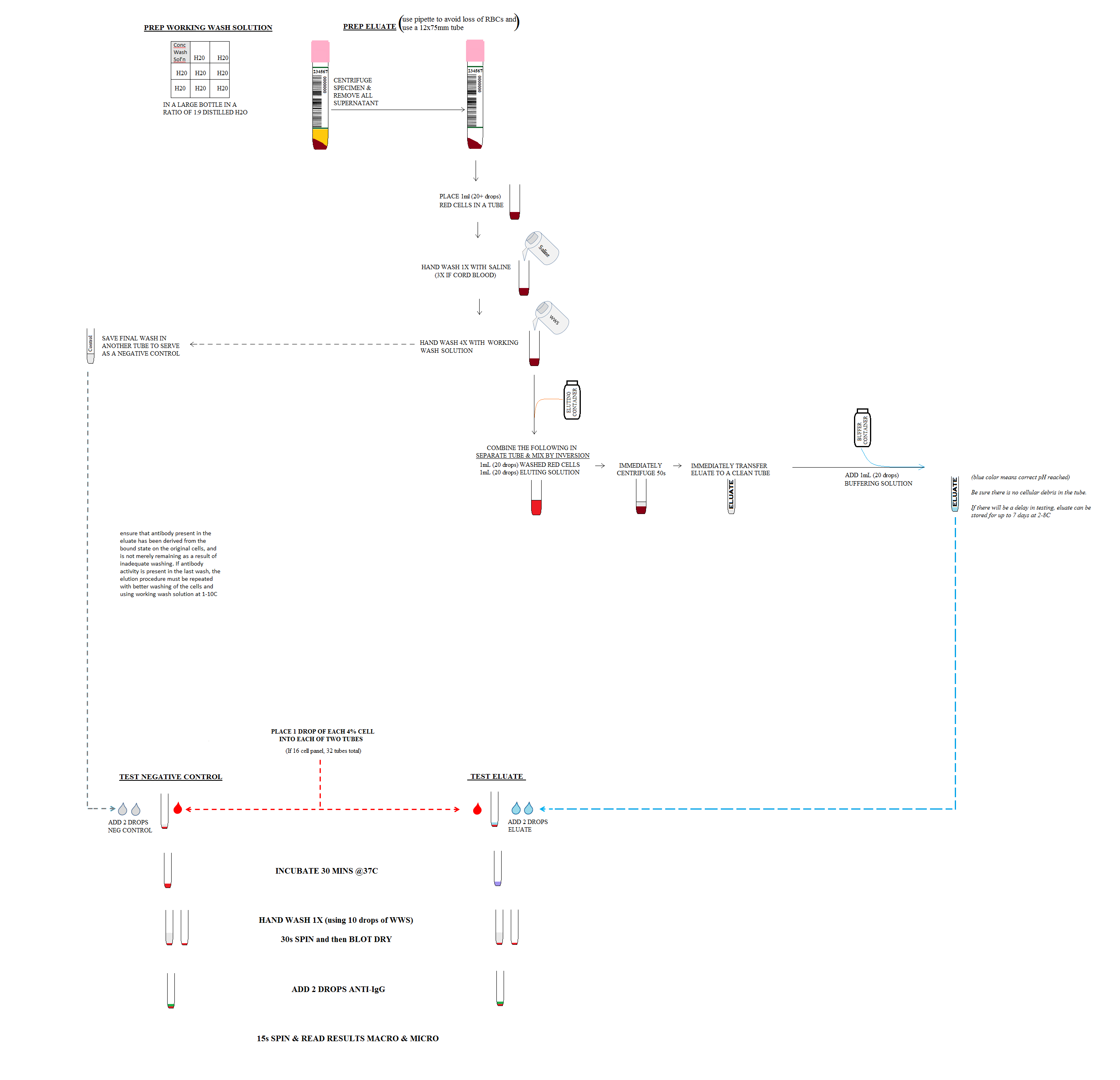 Blood Bank Procedures | wordsology